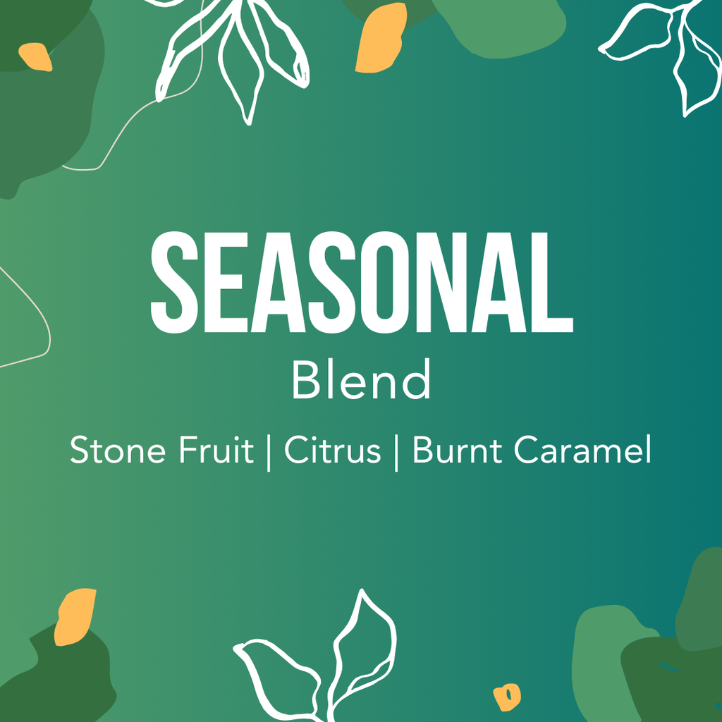 Seasonal Blend | Excelso Coffee NZ