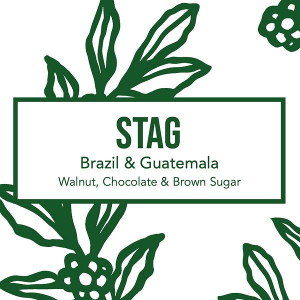STAG Blend | Excelso Coffee NZ